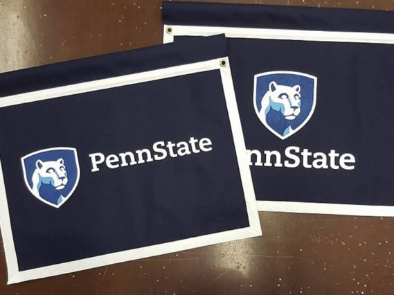 Banners - Standard Pennant